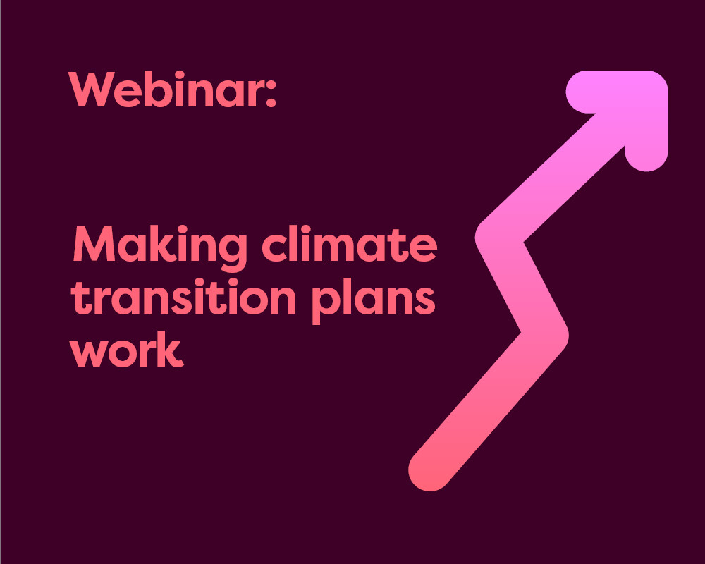 Making climate transition plans work