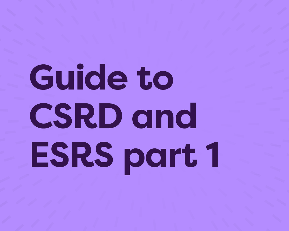 The complete guide to CSRD and ESRS: Overview