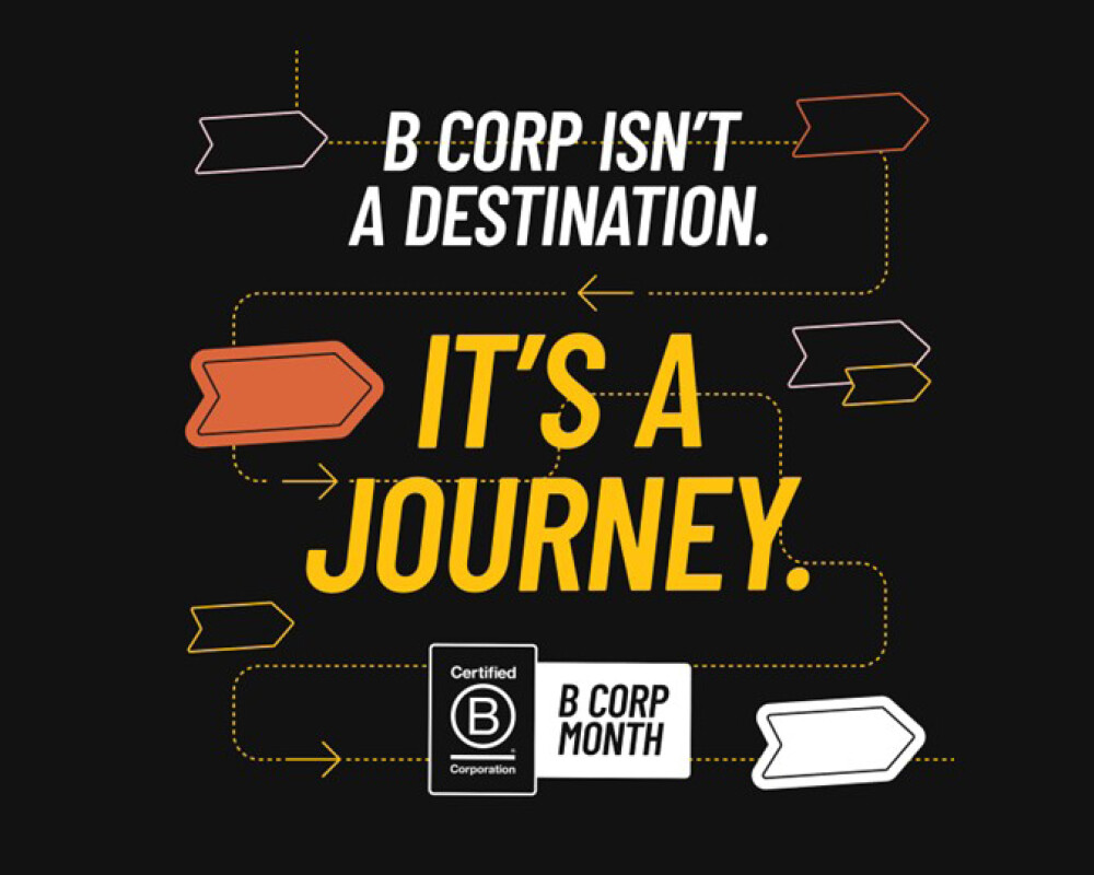BCorp month 2024