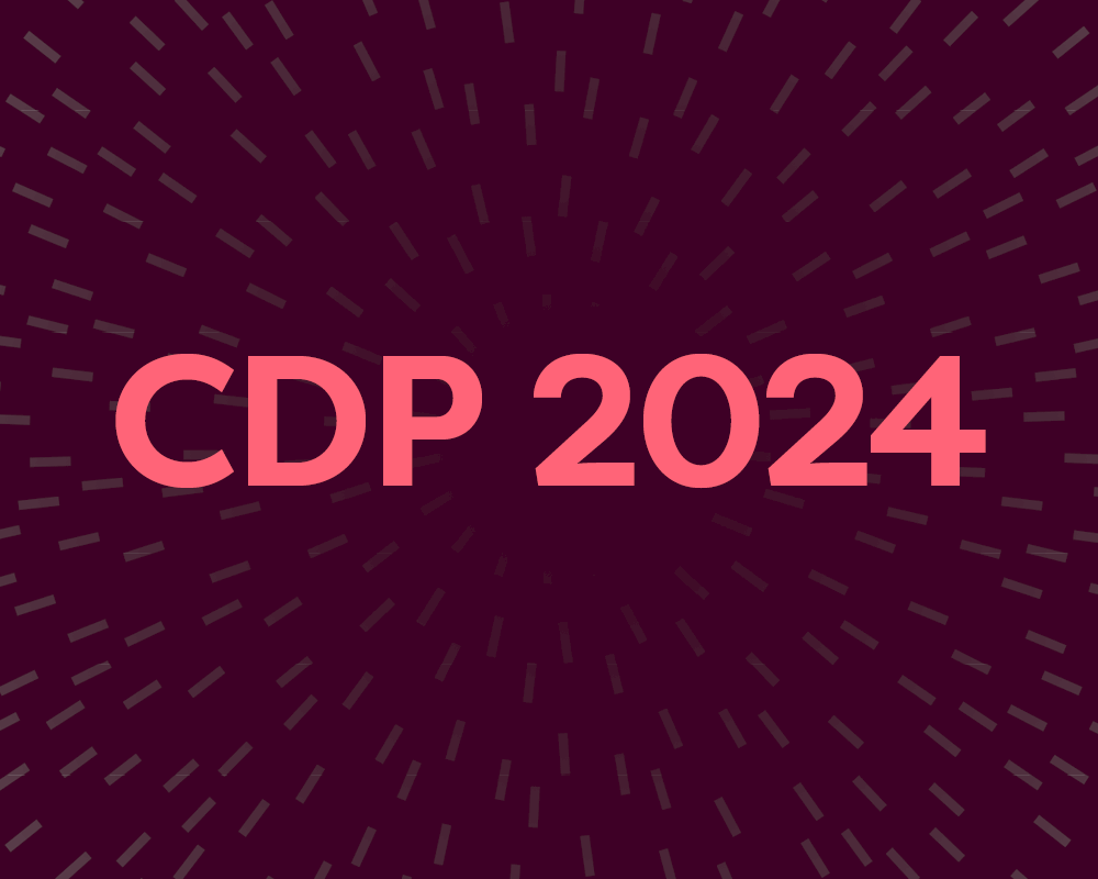 CDP’s streamlined disclosures for 2024 – what’s new?