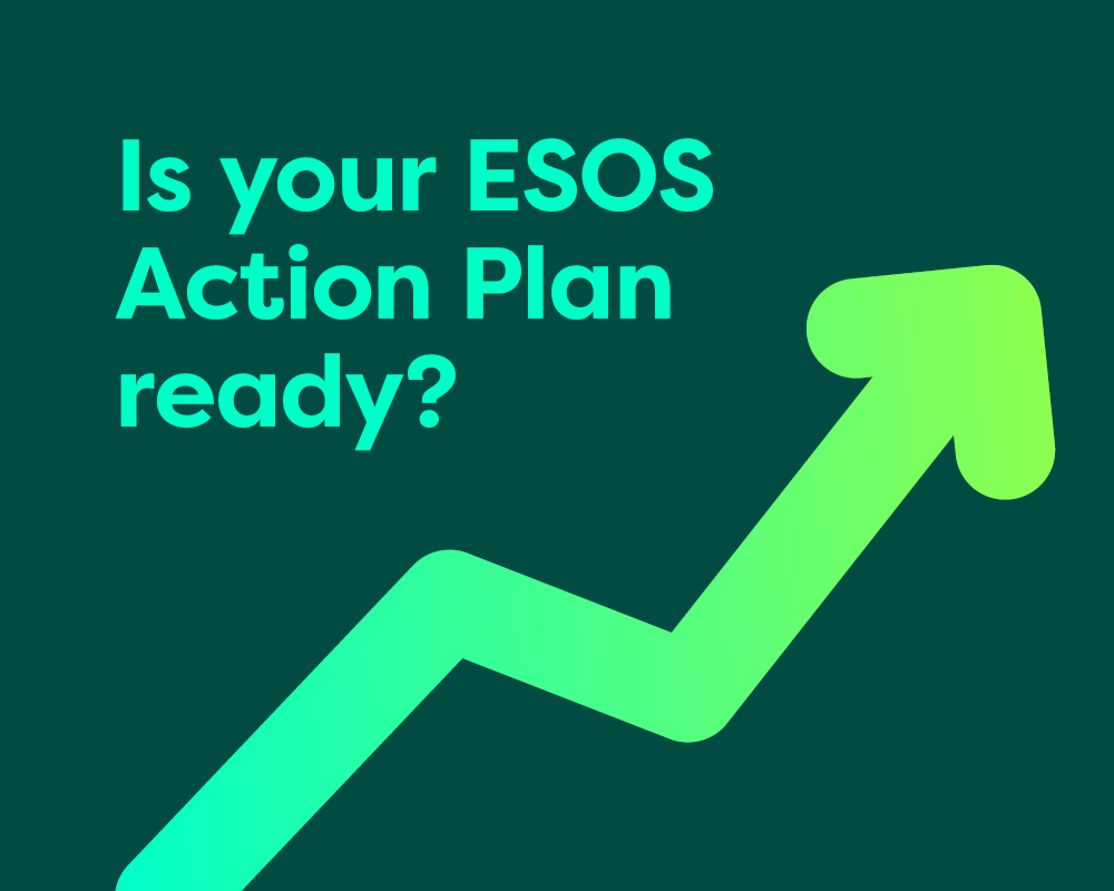 How to build an ESOS Action Plan