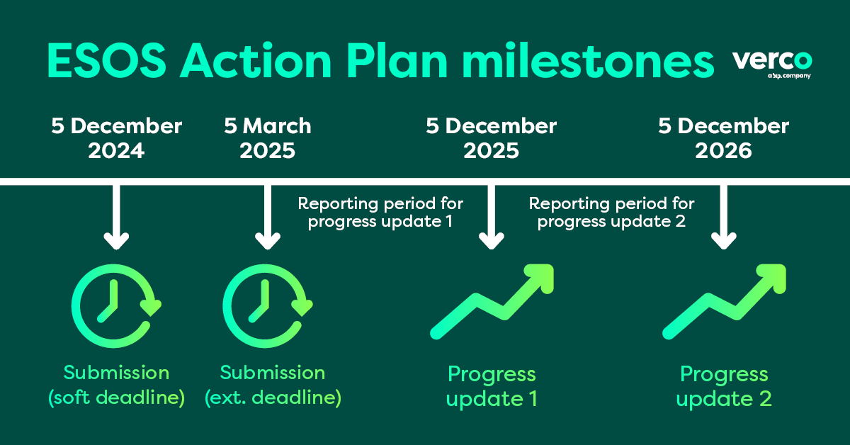 How to build an ESOS Action Plan